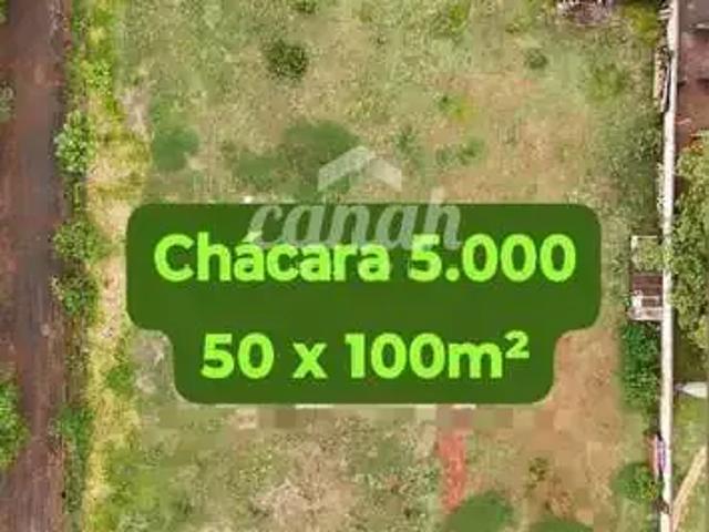 Sítio / Chácara para Venda em Ribeirão Preto/SP Recreio Internacional