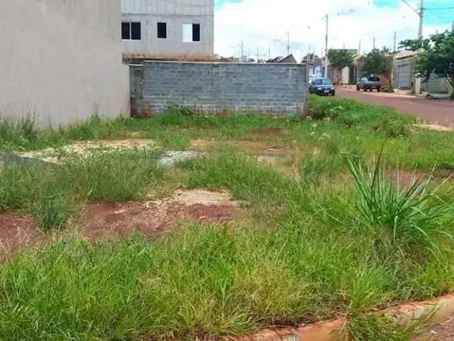Sítio / Chácara para Venda em Ribeirão Preto/SP Reserva Macaúba
