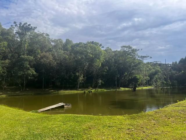 Sítio / Chácara para Venda em Rio Negrinho/SC Área Rural de Rio Negrinho 2 Quartos