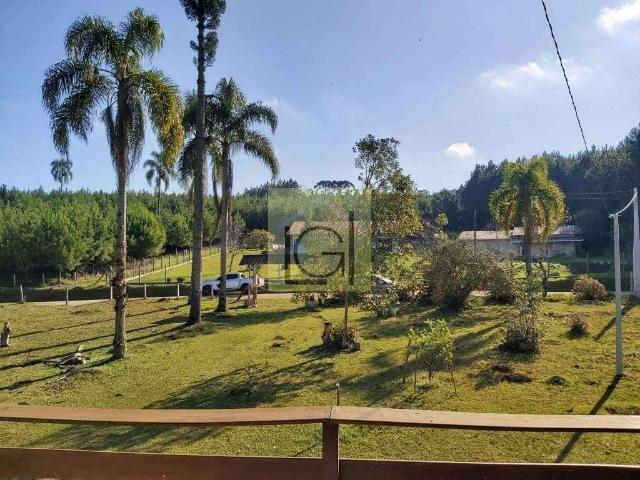 Sítio / Chácara para Venda em Rio Negrinho/SC Rio do Salto