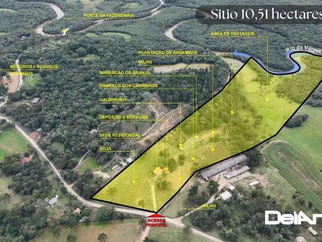 Sítio / Chácara para Venda em Rio Negro/PR Bom Jesus do Rio Negro 3 Quartos