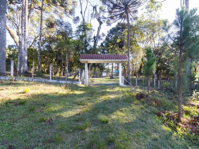 Sítio / Chácara para Venda em Rio Branco do Sul/PR Zona Rural