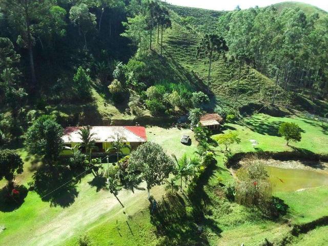 Sítio / Chácara para Venda em Rio Branco do Sul/PR Ribeirinha 3 Quartos