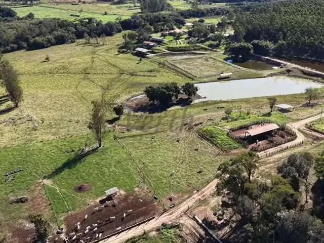 Sítio / Chácara para Venda em Rio Claro/SP Vila Indaiá 5 Quartos