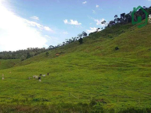 Sítio / Chácara para Venda em Rio do Campo/SC Floresta