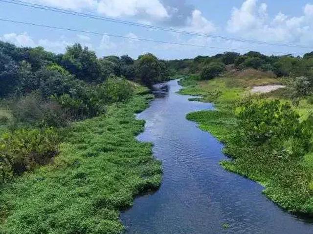Sítio / Chácara para Venda em Rio do Fogo/RN Centro 1 Quartos