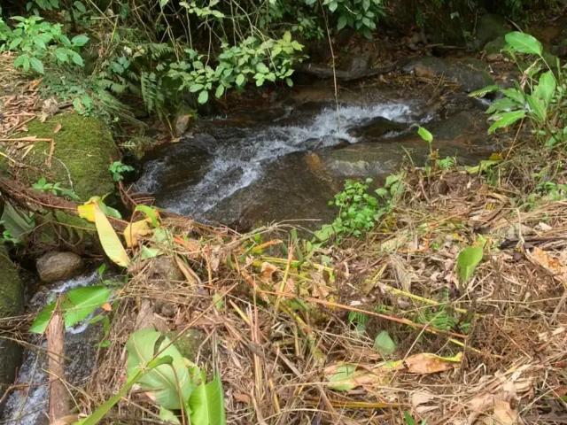 Sítio / Chácara para Venda em Rio dos Cedros/SC Zona Rural