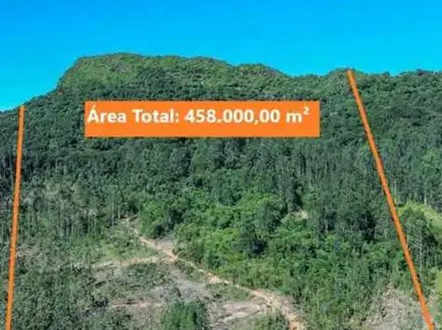 Sítio / Chácara para Venda em Rio dos Cedros/SC Alto Palmeiras 4 Quartos