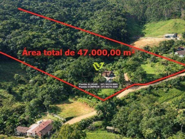 Sítio / Chácara para Venda em Rio dos Cedros/SC Alto Palmeiras 3 Quartos