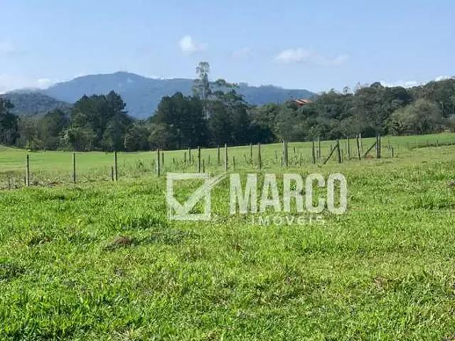 Sítio / Chácara para Venda em Rio dos Cedros/SC Centro
