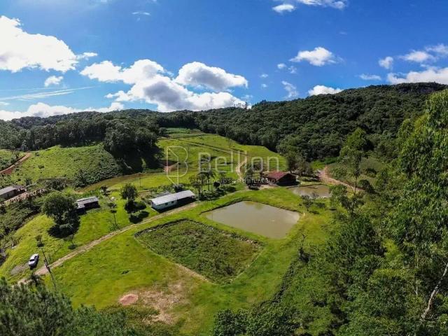 Sítio / Chácara para Venda em Rio dos Cedros/SC Cedro Alto 1 Quartos
