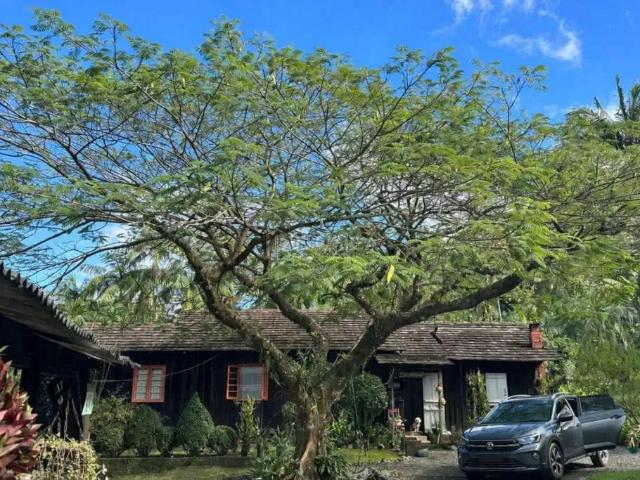 Sítio / Chácara para Venda em Rio dos Cedros/SC Cedro Alto 3 Quartos