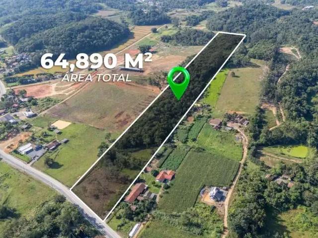 Sítio / Chácara para Venda em Rio dos Cedros/SC Cruzeiro
