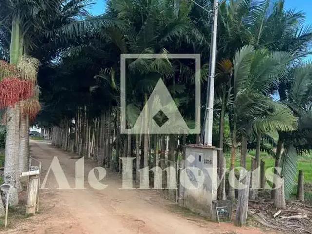 Sítio / Chácara para Venda em Rio dos Cedros/SC Cruzeiro 6 Quartos