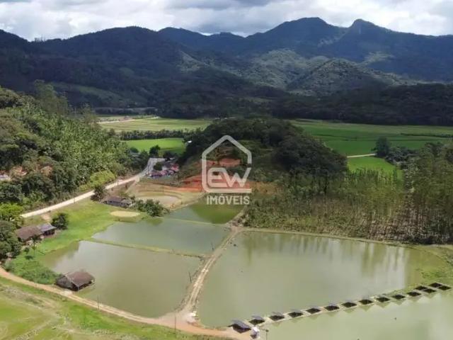 Sítio / Chácara para Venda em Rio dos Cedros/SC Pomeranos 1 Quartos