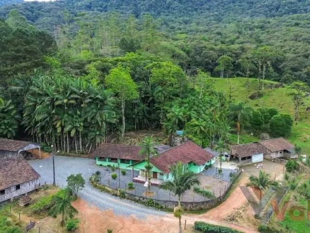 Sítio / Chácara para Venda em Rio dos Cedros/SC Rio Esperança 4 Quartos