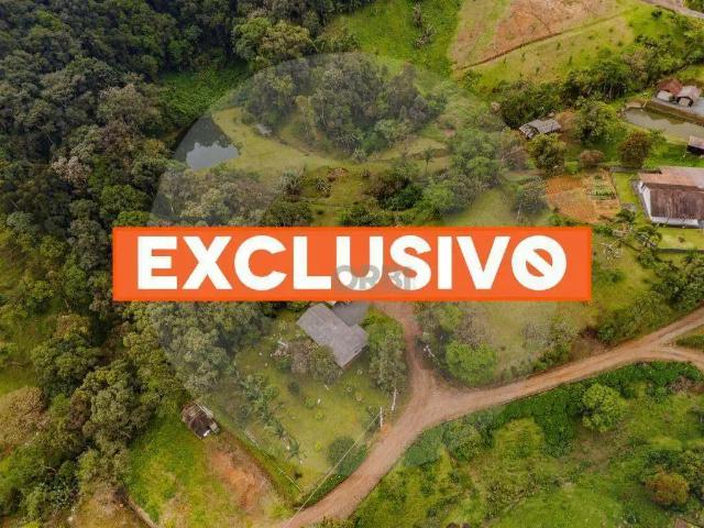 Sítio / Chácara para Venda em Rio dos Cedros/SC Rio Rosina 5 Quartos
