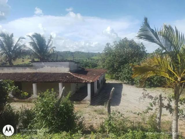 Sítio / Chácara para Venda em Rio Largo/AL Tabuleiro do Pinto 3 Quartos