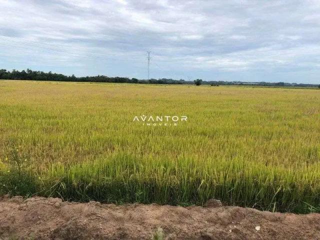 Sítio / Chácara para Venda em Rio Pardo/RS Área Rural de Rio Pardo