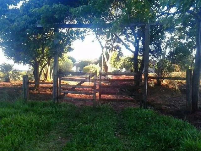Sítio / Chácara para Venda em Rio Pardo/RS Jardim Boa Vista 3 Quartos
