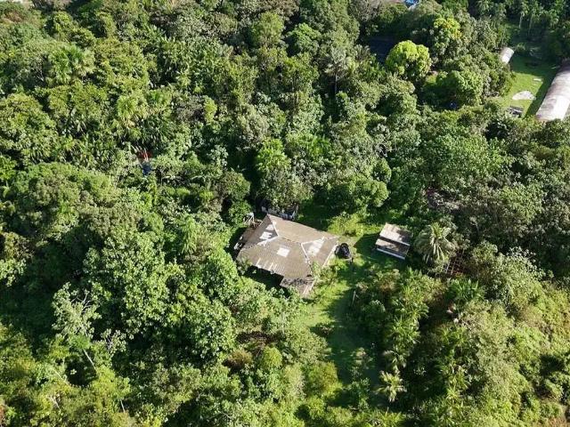 Sítio / Chácara para Venda em Rio Preto da Eva/AM Ramal Baixo Rio 3 Quartos