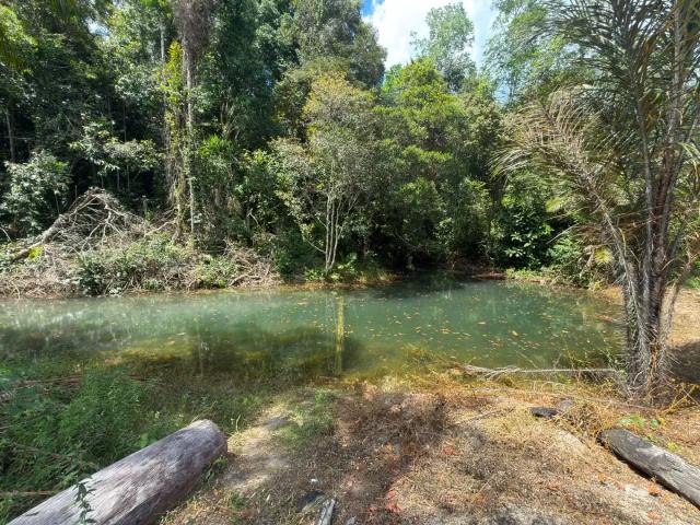 Sítio / Chácara para Venda em Rio Preto da Eva/AM Zona Rural 3 Quartos