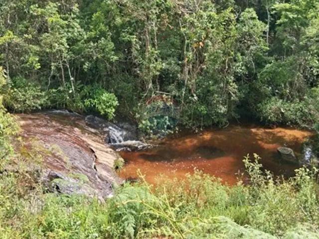 Sítio / Chácara para Venda em Rio Preto/MG Centro