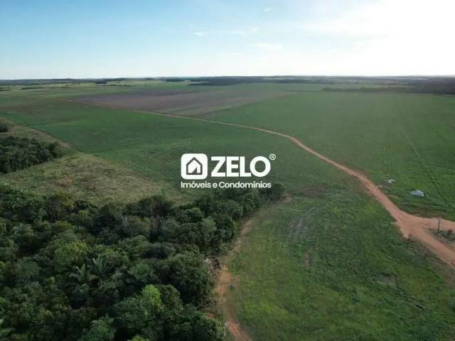 Sítio / Chácara para Venda em Rio Sono/TO Zona Rural