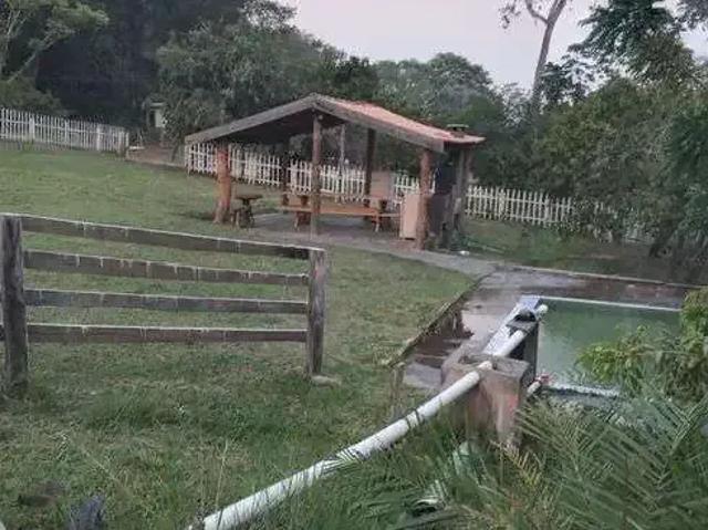 Sítio / Chácara para Venda em Rio Verde de Mato Grosso/MS Centro