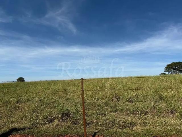 Sítio / Chácara para Venda em Rubinéia/SP Brisas D'oeste