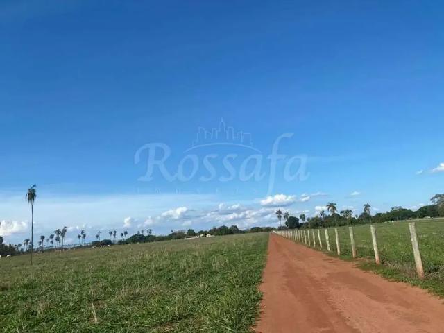 Sítio / Chácara para Venda em Rubinéia/SP Centro