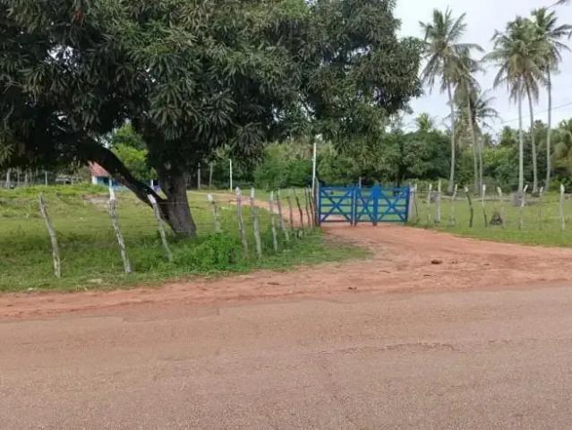 Sítio / Chácara para Venda em Touros/RN Centro 2 Quartos