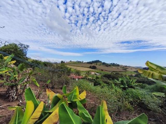 Sítio / Chácara para Venda em Toledo, Fazenda, 2 dormitórios, 1 banheiro