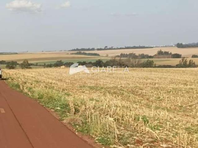 Sítio / Chácara para Venda em Toledo/PR Área Rural de Toledo