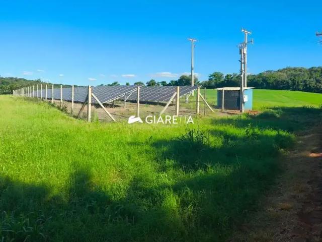 Sítio / Chácara para Venda em Toledo/PR Área Rural de Toledo