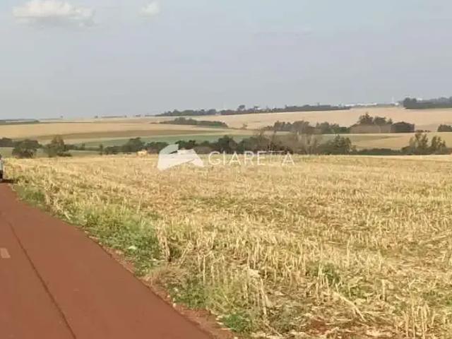 Sítio / Chácara para Venda em Toledo/PR Área Rural de Toledo