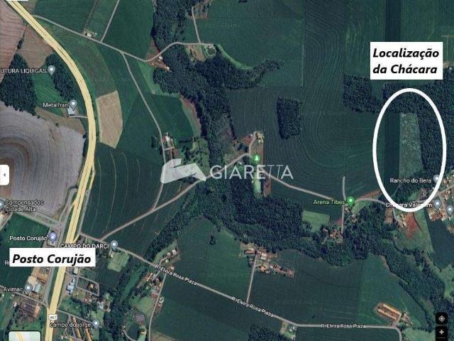 Sítio / Chácara para Venda em Toledo/PR Área Rural de Toledo