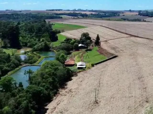 Sítio / Chácara para Venda em Toledo/PR Área Rural de Toledo
