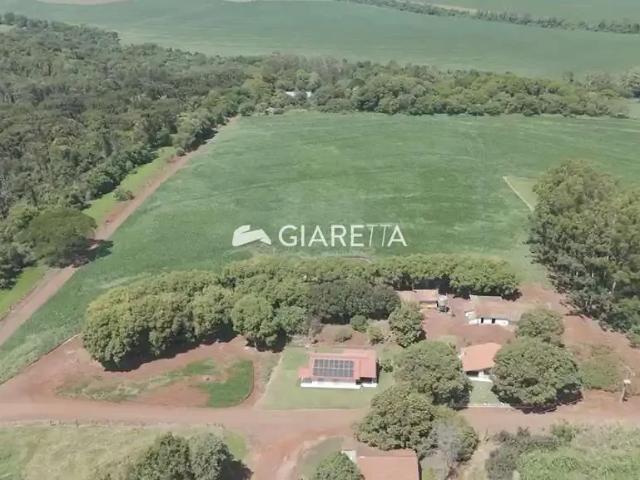 Sítio / Chácara para Venda em Toledo/PR Boa Vista