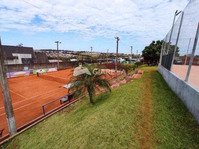 Sítio / Chácara para Venda em Toledo/PR Jardim Pancera