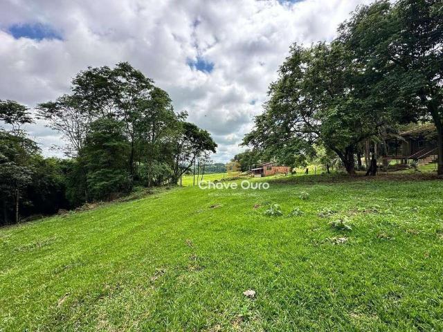 Sítio / Chácara para Venda em Toledo/PR Vila Ipiranga