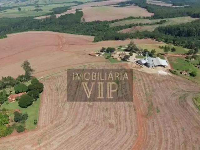 Sítio / Chácara para Venda em Tomazina/PR Zona Rural 1 Quartos