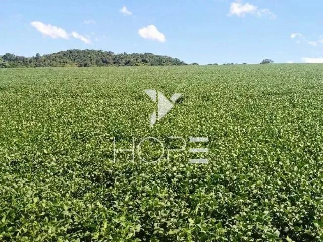 Sítio / Chácara para Venda em Tomazina/PR Centro