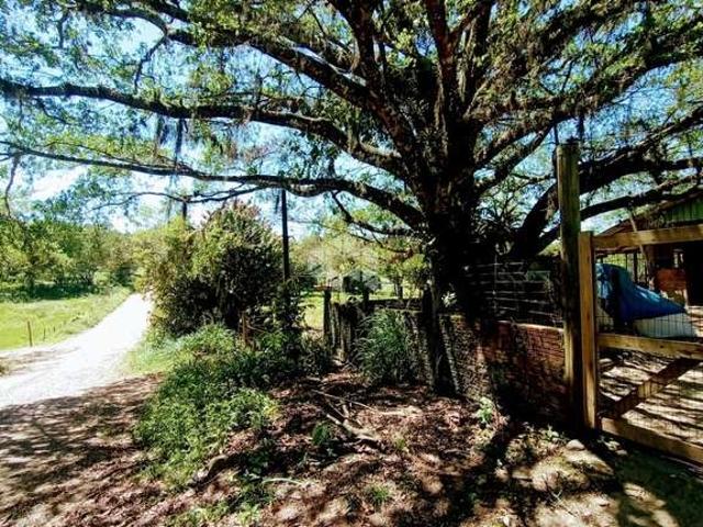 Sítio / Chácara para Venda em Torres/RS Campo Bonito
