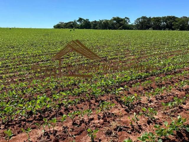 Sítio / Chácara para Venda em Tatuí/SP Área Rural de Tatuí