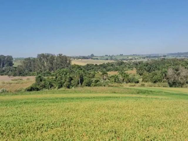 Sítio / Chácara para Venda em Tatuí/SP Área Rural de Tatuí 1 Quartos