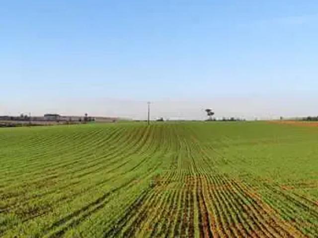 Sítio / Chácara para Venda em Tatuí/SP Área Rural de Tatuí 1 Quartos