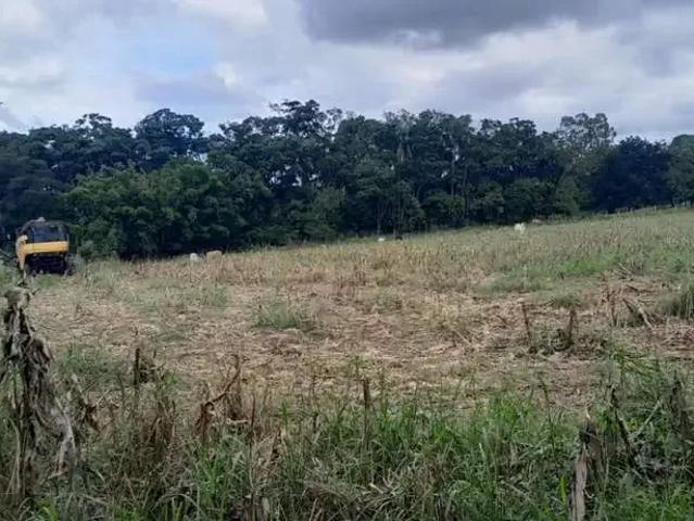 Sítio / Chácara para Venda em Tatuí/SP Área Rural de Tatuí 2 Quartos
