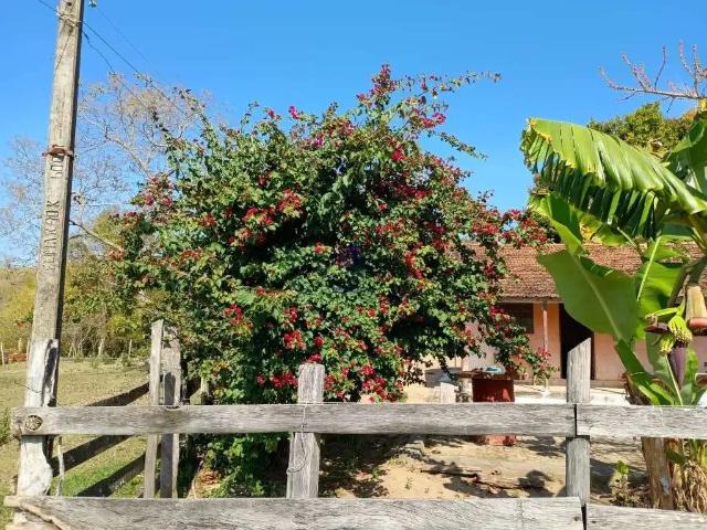 Sítio / Chácara para Venda em Taubaté/SP Barreiro 2 Quartos