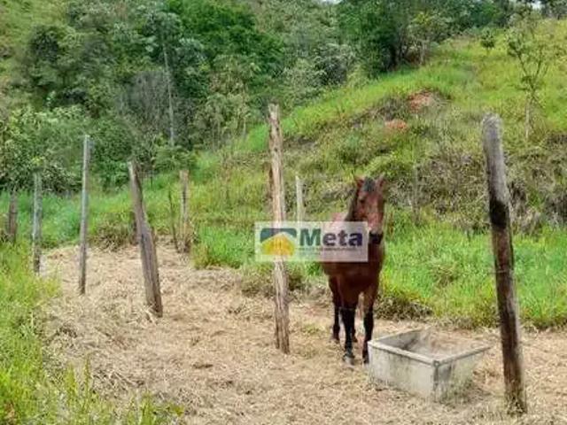 Sítio / Chácara para Venda em Taubaté/SP Barreiro